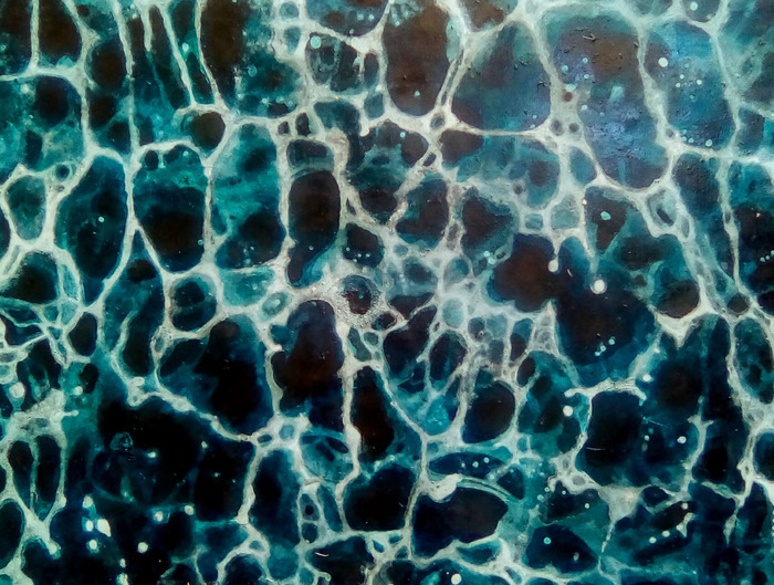 about :: Alexandra-steiner