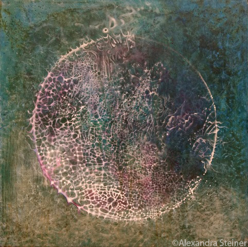 cosmos :: Alexandra-steiner