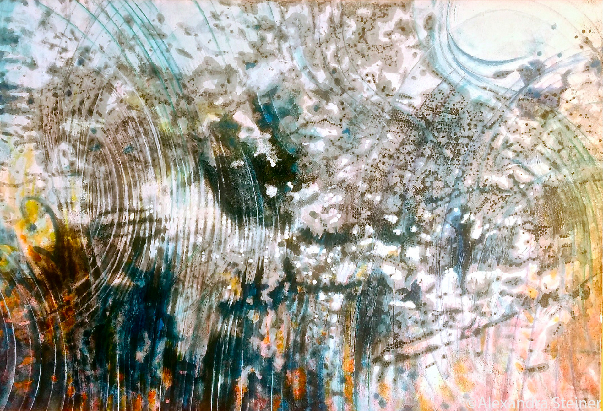 cosmos :: Alexandra-steiner